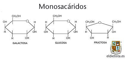 CARBOHIDRATOS Y LIPIDOS - Mind Map