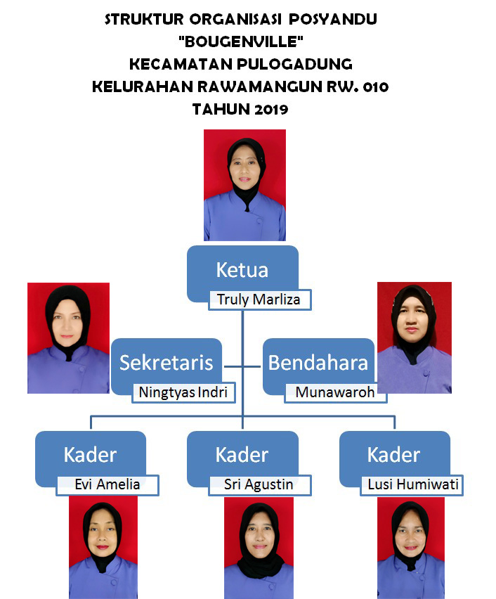 Bougenville Rawamangun Struktur Kepengurusan Posyandu Bougenville Rawamangun