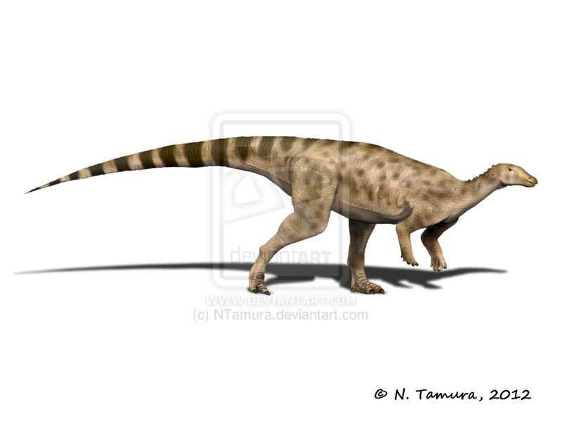 Los animales en la prehistoria: Animales prehistóricos con la letra G