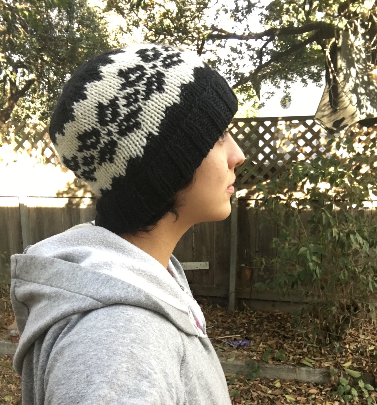 Don't Drool on the Wool: FREE PATTERN: Star Hat