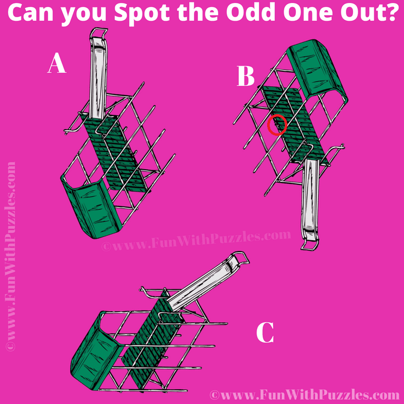 Odd One Out Picture Puzzle for Students: Slider Sleuth