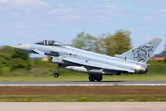 Bavarian Tigers react to criticism received on the 2019 tiger aircraft ...