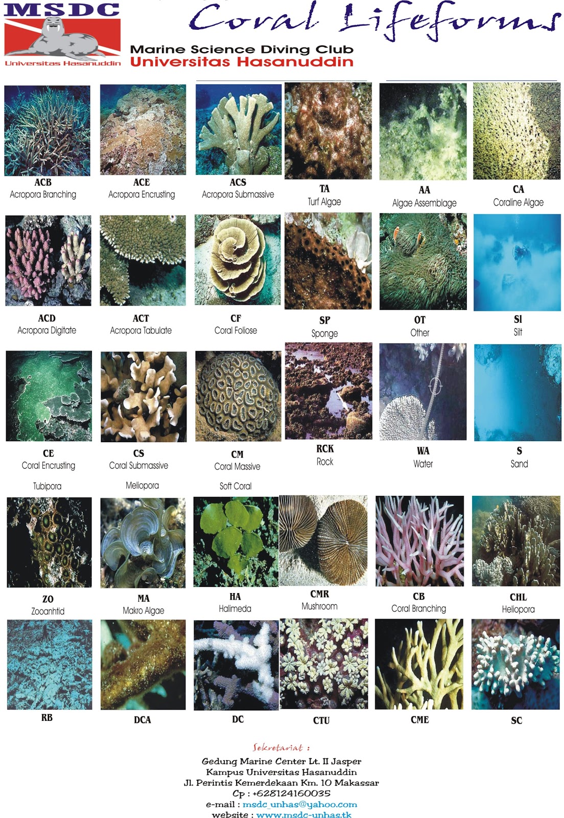 Metode Pemantauan Terumbu Karang: Juli 2011