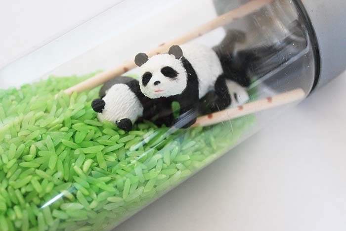 Giant Panda Habitat Diorama