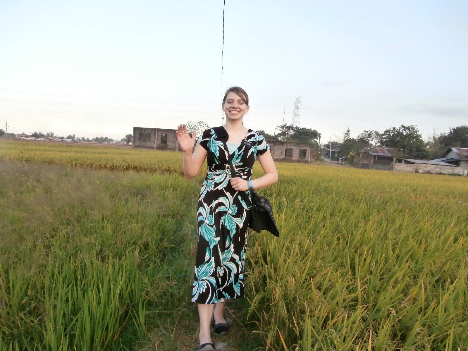 Philippines Angeles Mission: Rice Harvest Time