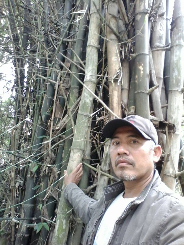 Revolusi Sebatang Bambu : Edisi Sharing Data dan Ekonomi dengan Bambu