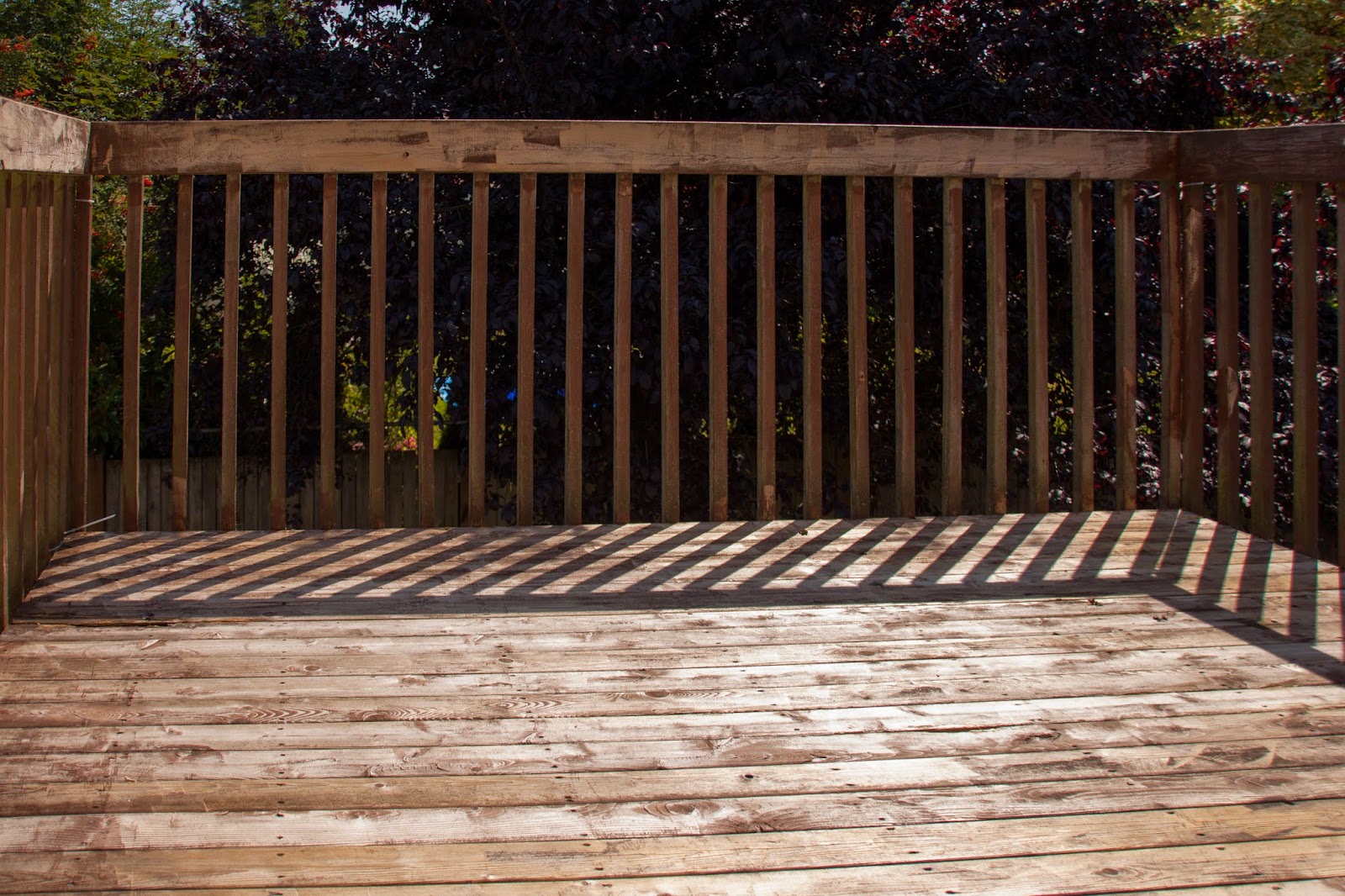 Bringing New Life to an Old Deck