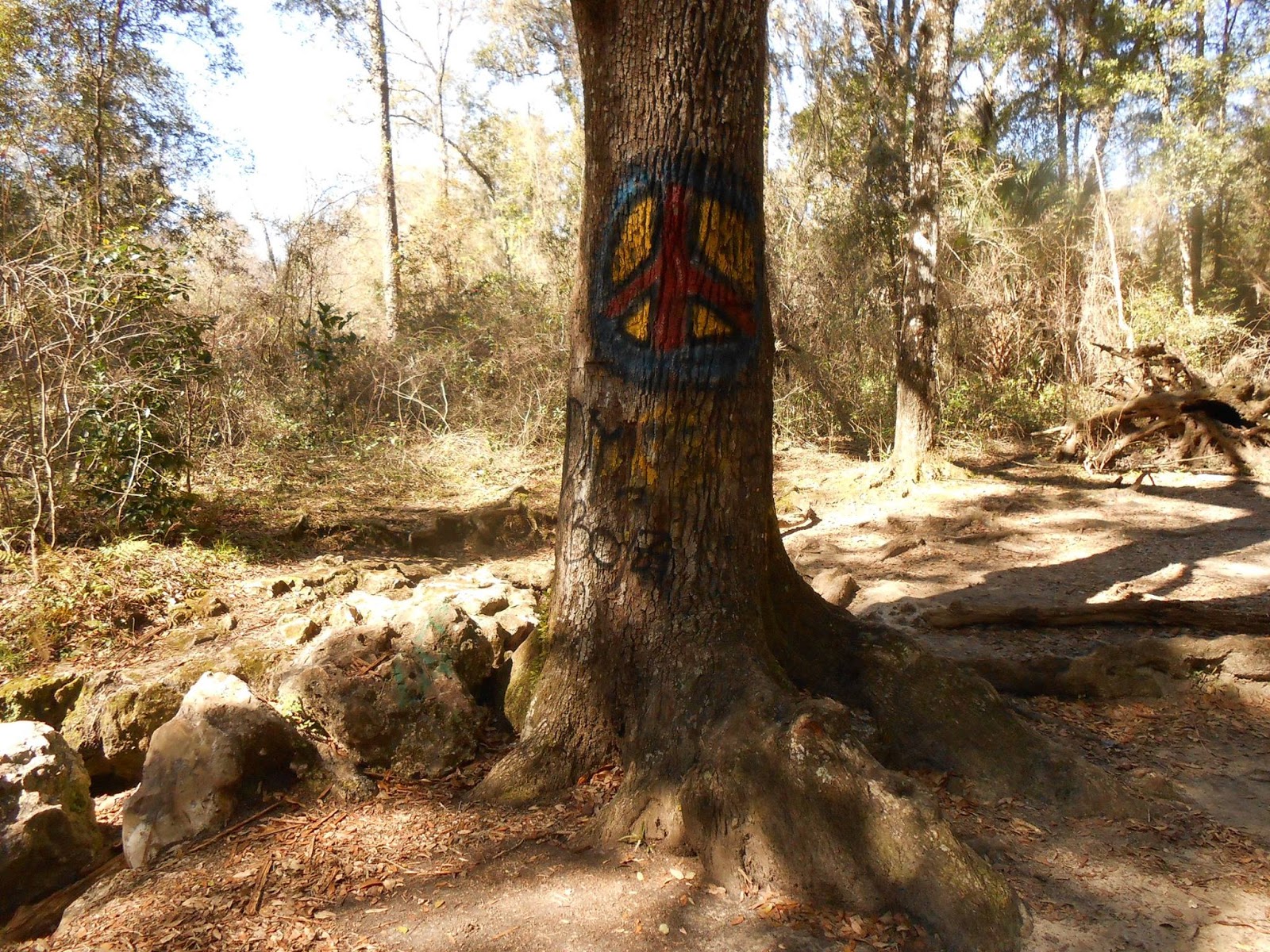 Dames Cave: Cave Spelunking in Florida - Lost Girls Adventures