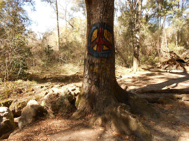 Dames Cave: Cave Spelunking in Florida - Lost Girls Adventures