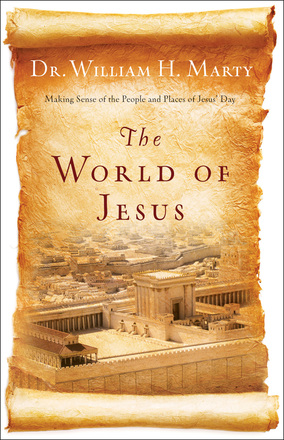 BibleX: Review of The World of Jesus