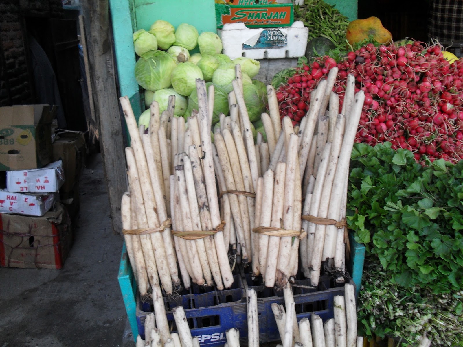 CHINAR SHADE : August 2013