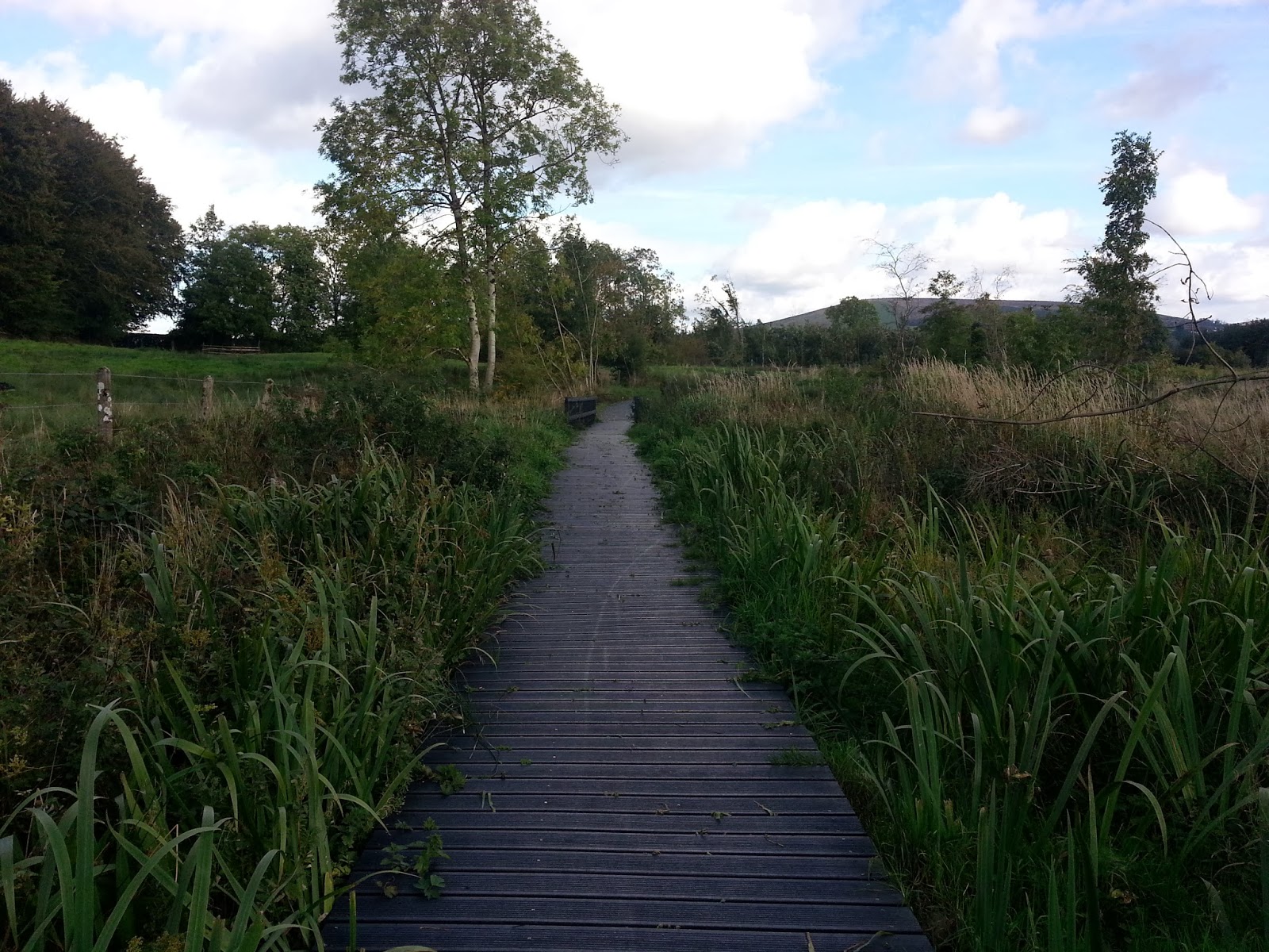 Irish Cultural Blog: Blessington Lakeshore Co. Wicklow