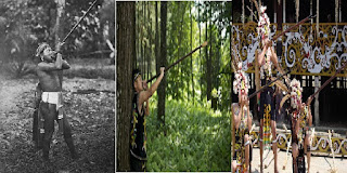 Deadly Sumpit From Dayak Kalimantan - Indonesian Arts and Cultures