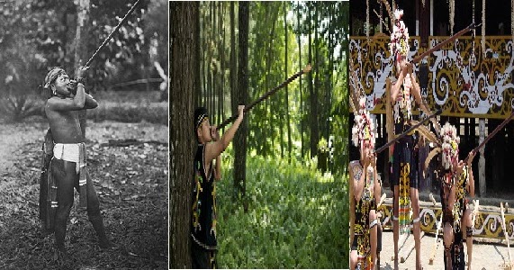 Deadly Sumpit From Dayak Kalimantan - Indonesian Arts and Cultures