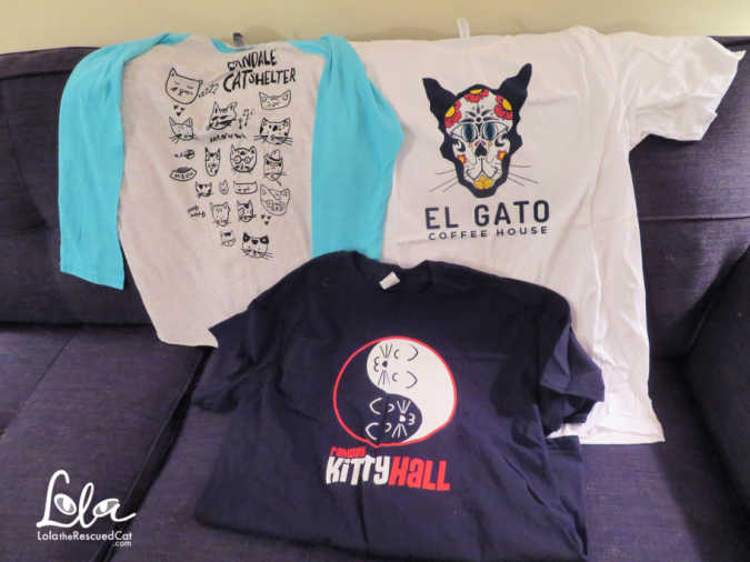 It's a Cat Cafe Swag Giveaway! | Lola The Rescued Cat