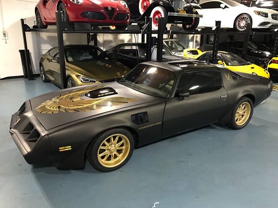 Experience the Iconic American Muscle Car: Trams Am 1979 - History ...