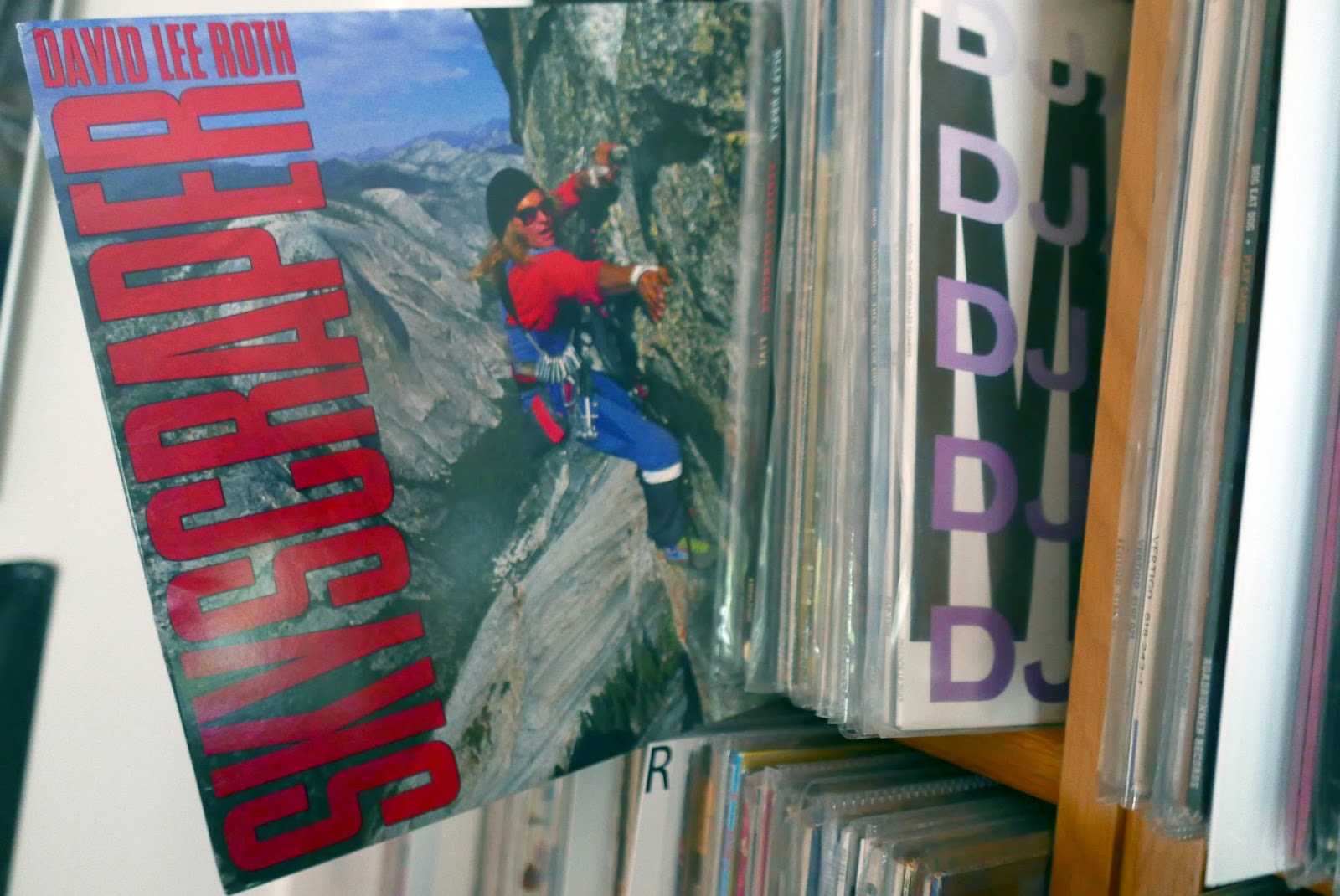 TheOutlaw76: David Lee Roth "Skyscraper" (1988)