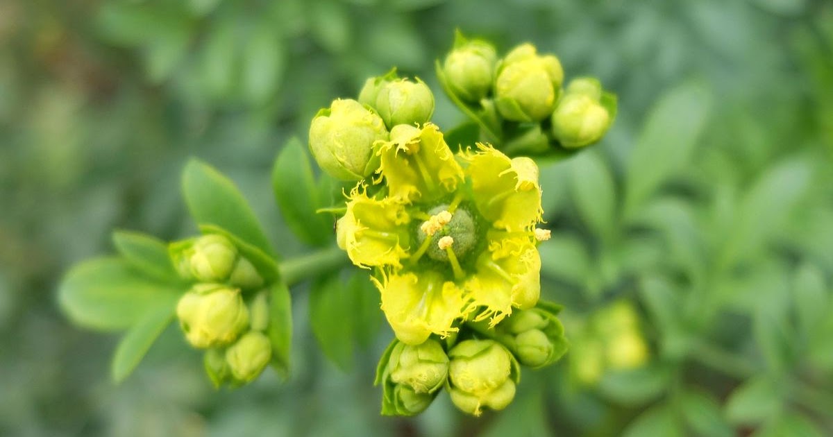 Urban Ministry Live And Unplugged: Groene Mara