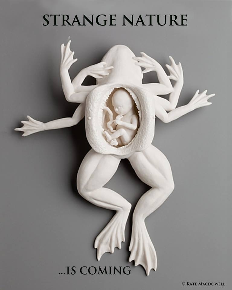 Horror Town USA: Trailer For James Ojala's 'Strange Nature':