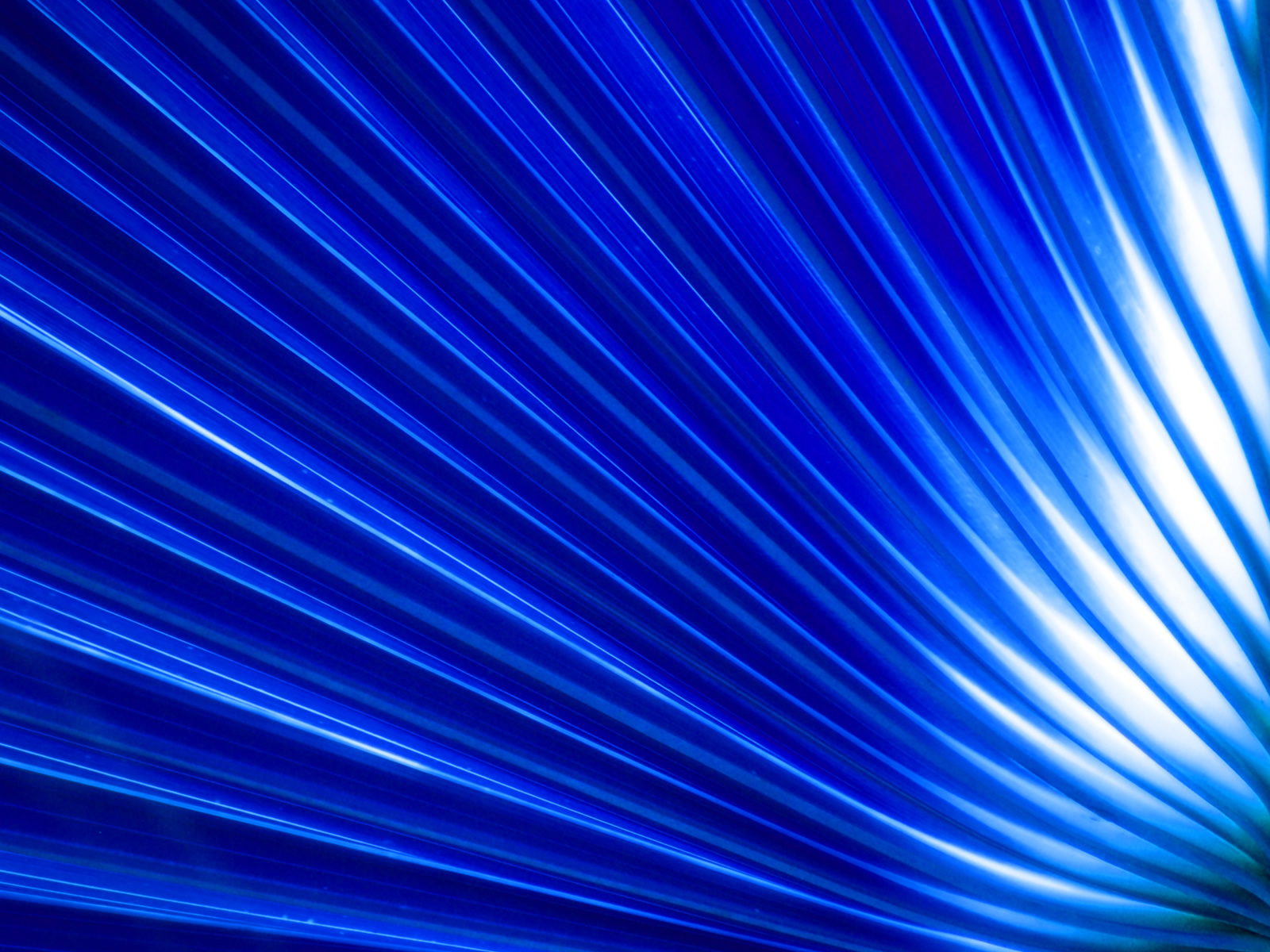 IMAGENSNET: PAPEL DE PAREDE AZUL