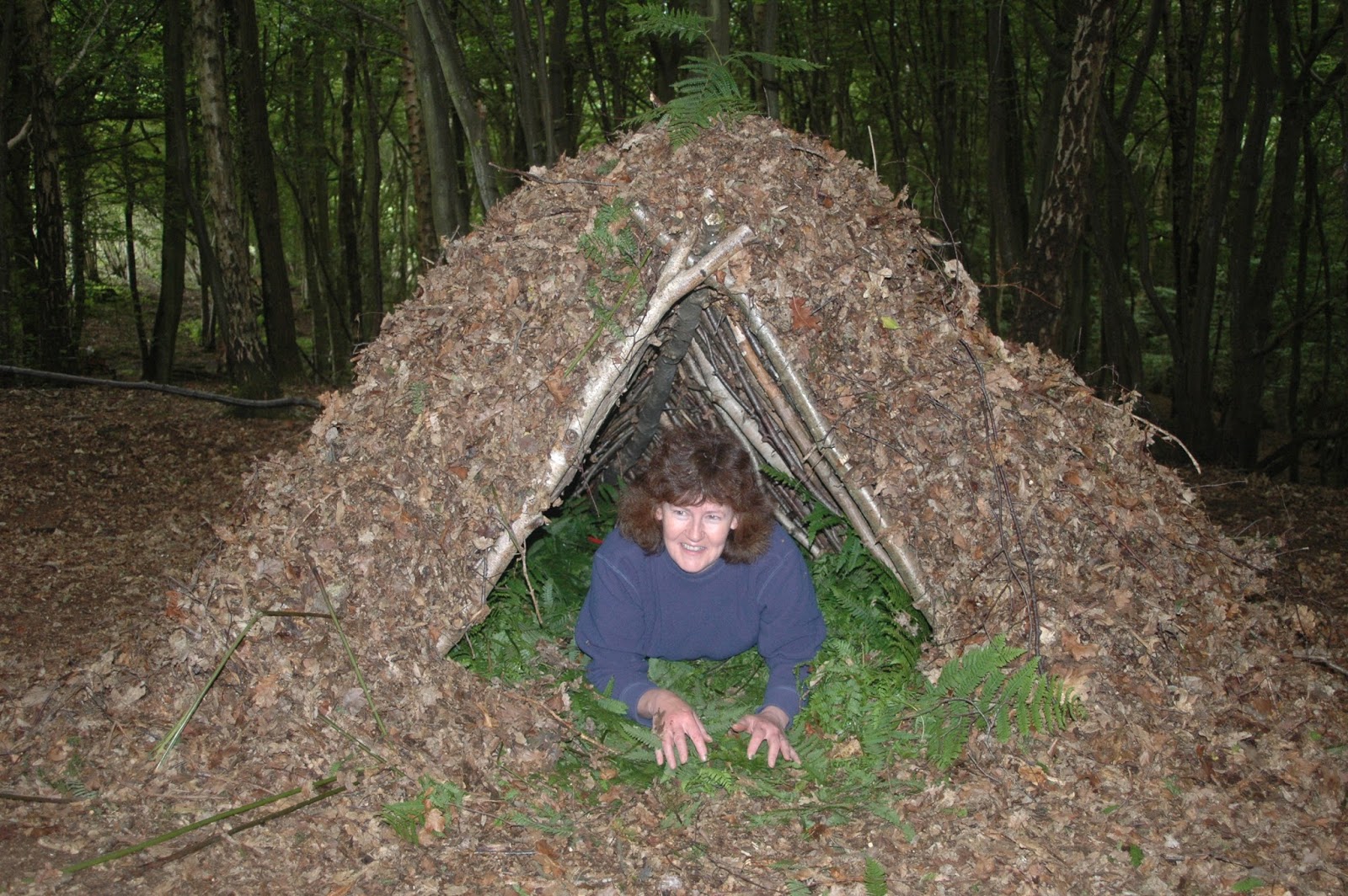 Minnesota Bushcraft: Bushcraft Training Dorer Hardwood Forest, Taylors ...
