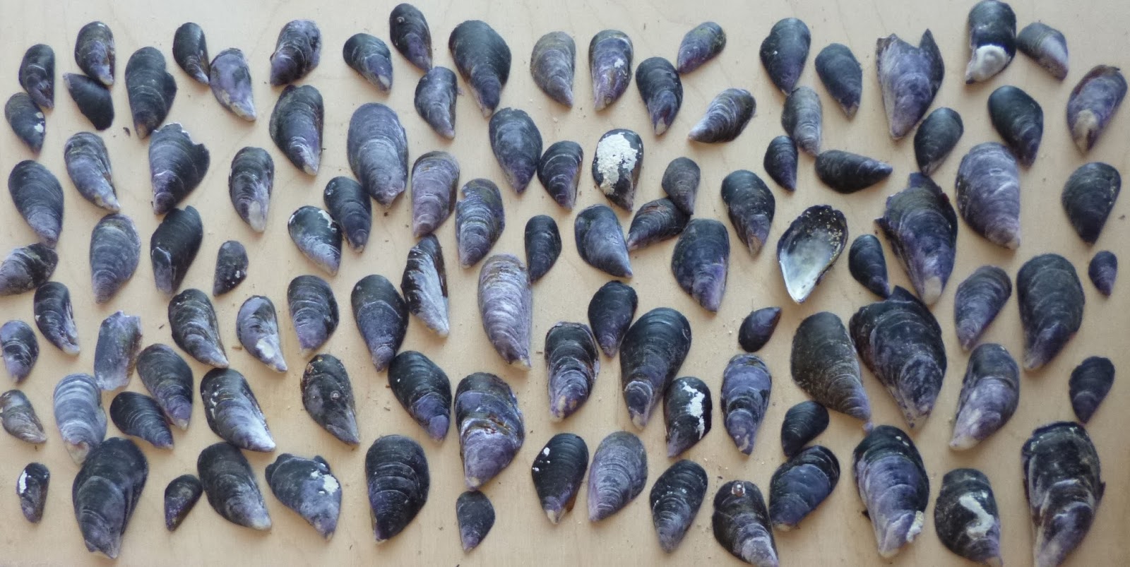 magsramsay: November 2013