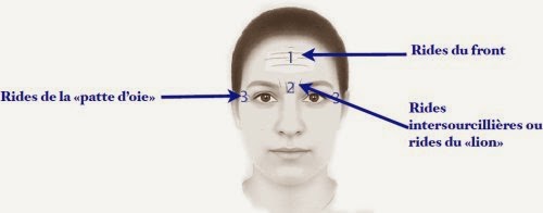 RESTAURER LES VOLUMES POUR RAJEUNIR UN VISAGE