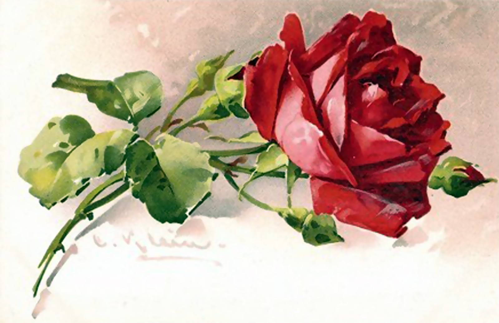 Vintage Art Red Roses Prints Postcard | Joy Design Studio