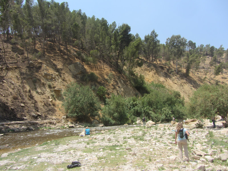 Huntsmans in the Holy Land: Day 3: Amman Citadel, Jabbok River, and Jerash