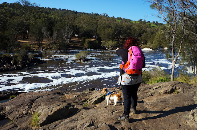 Bells Rapids Walk Trail (Bells Rapids Reserve) ~ The Long Way's Better