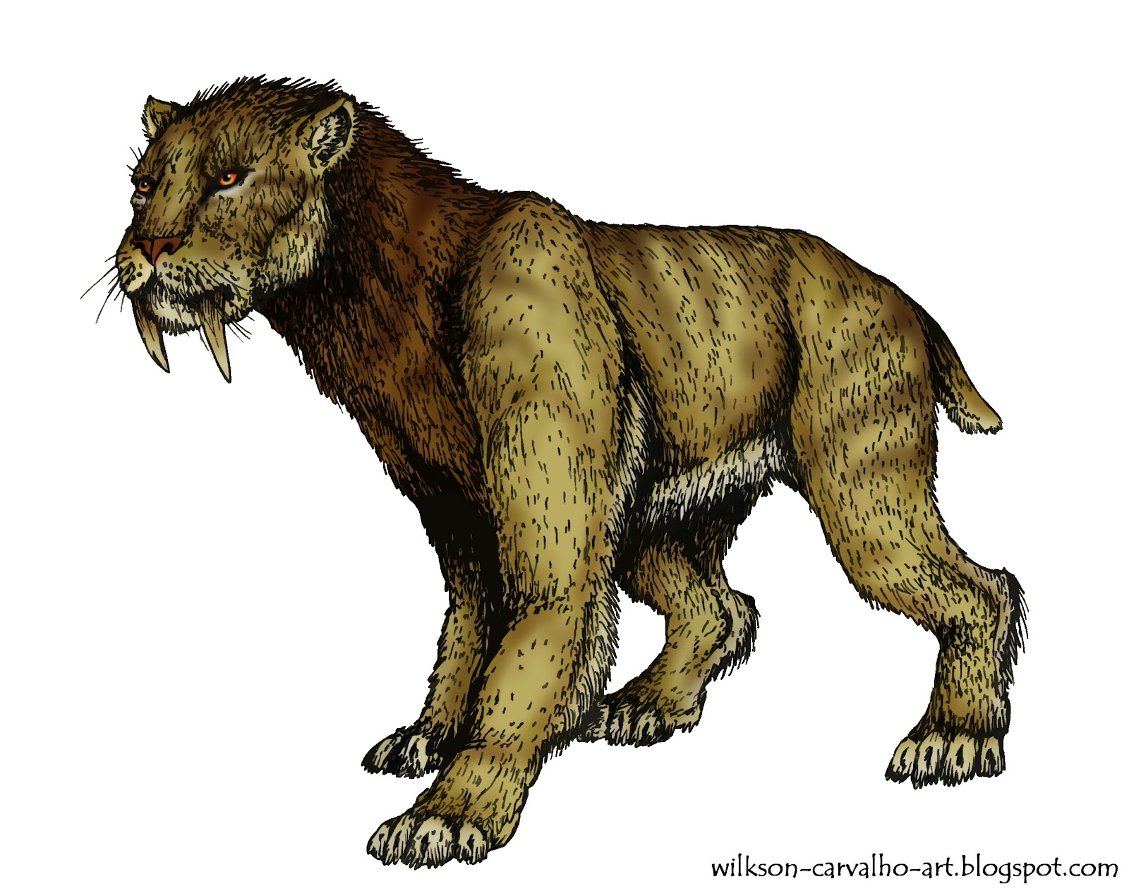 Wilkson Carvalho Portofólio: Smilodon populator (2012)