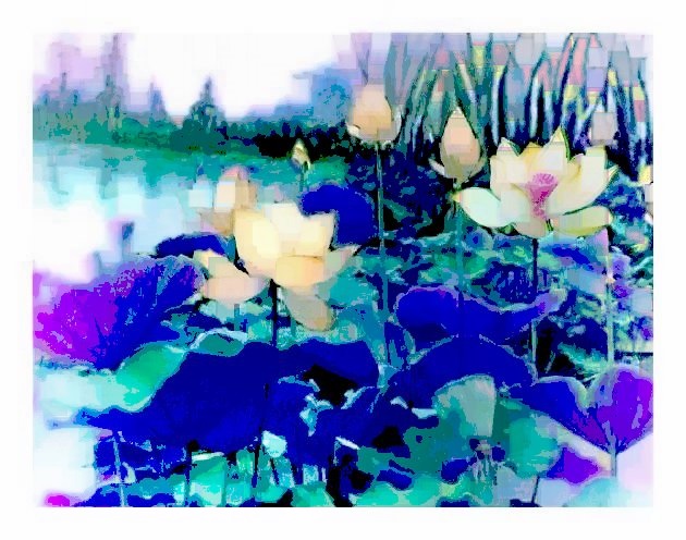 POP-ART PORTRAIT DRAWING: LOTUS GARDEN