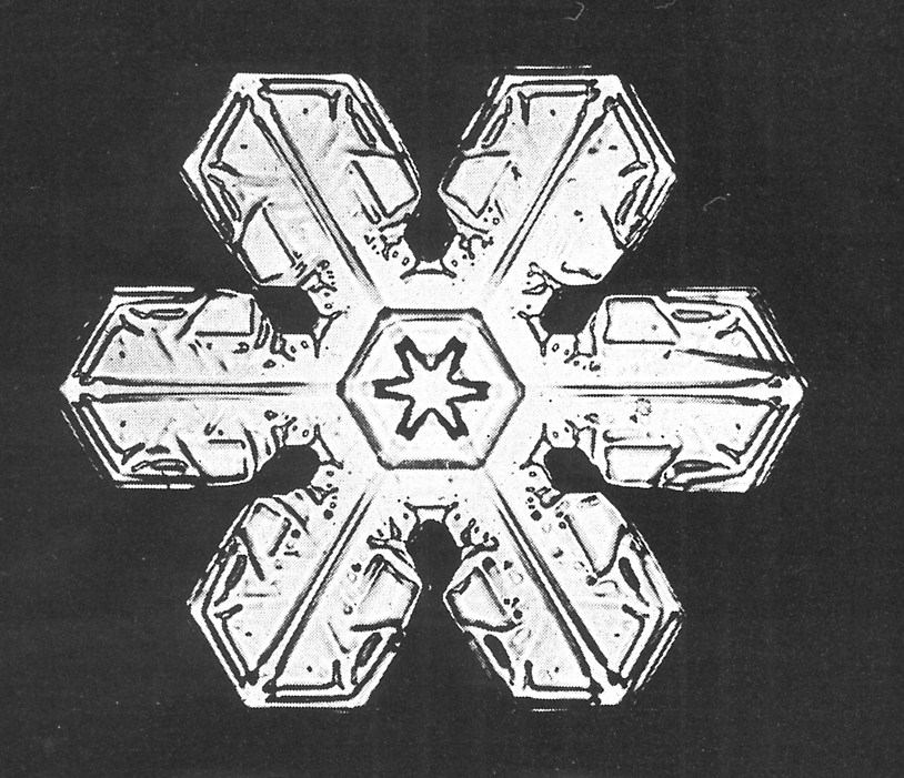 Mutated snowflakes from the Japanese nuclear react: Nuclear fallout ...