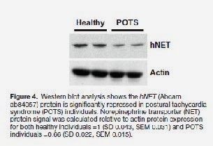Living with Bob (Dysautonomia): October 2013