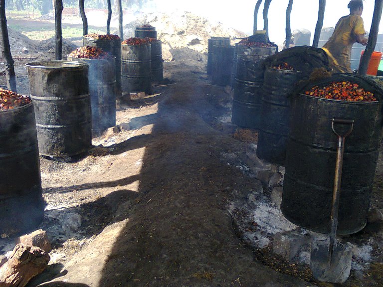 IDDY ALLUTE: Ufundi wa kutengeneza mafuta ya mawese