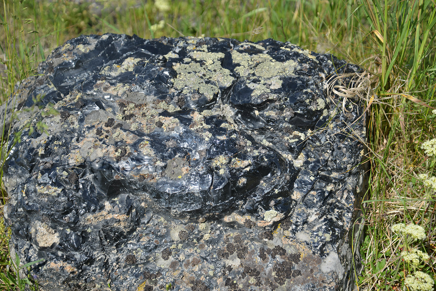 Yellowstone: Obsidian Cliff - light-in-leaves