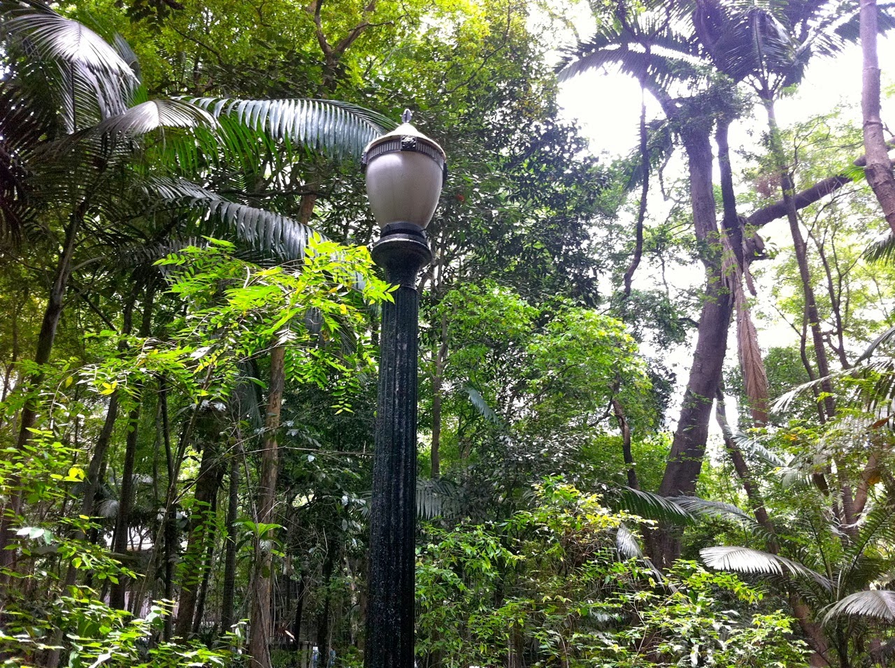 Parque Trianon ou Tenente Siqueira Campos em São Paulo ~ Áreas Verdes ...