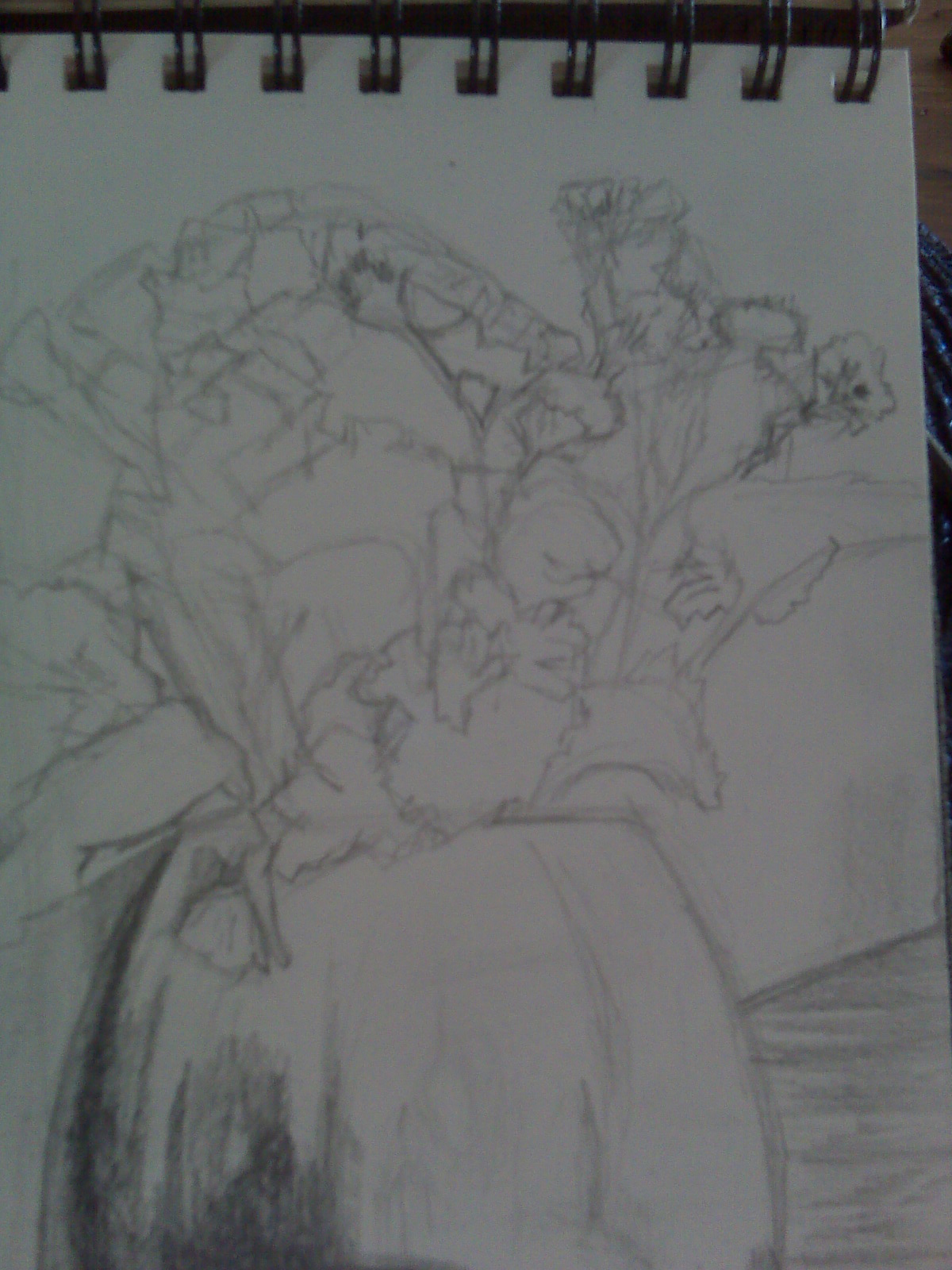 K.Hitt Out And About: Step By Step Still Life Drawing Example
