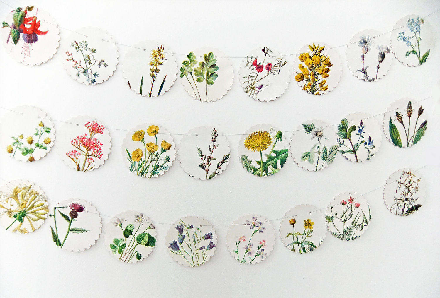 Bell and Star: Botanical Print Bunting