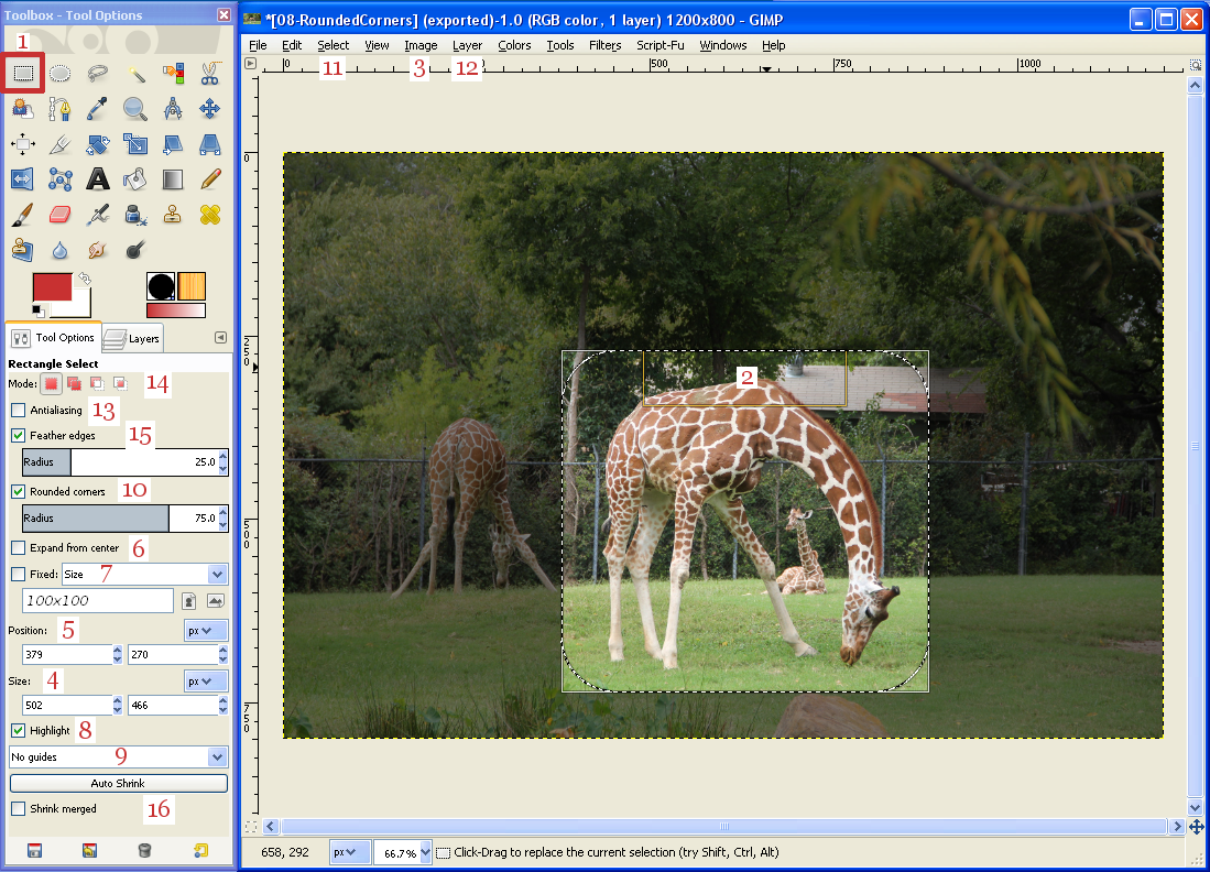 Clown Fish Cafe GIMP 2 8 Tutorial Which Tool Should I Use To Crop A Clown Fish Cafe GIMP 2 8 Tutorial Which Tool Should I Use To Crop A