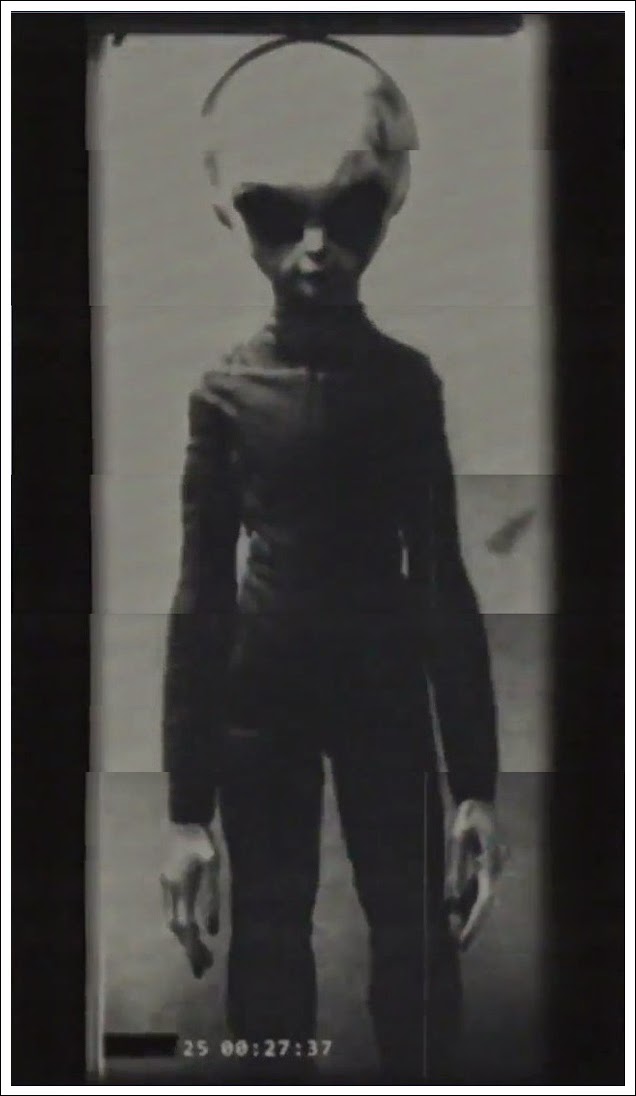 :: Secretos del Misterio ::: EBEs (Entidades Biológicas Extraterrestres ...