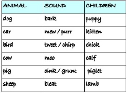 Ana's ESL blog: How to organize your vocabulary