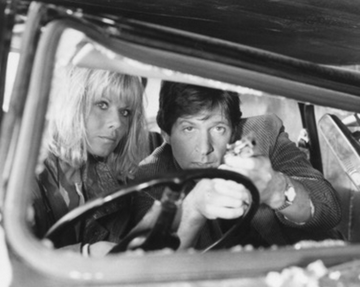 Filmovízia: Dempsey and Makepeace [1985-1986]