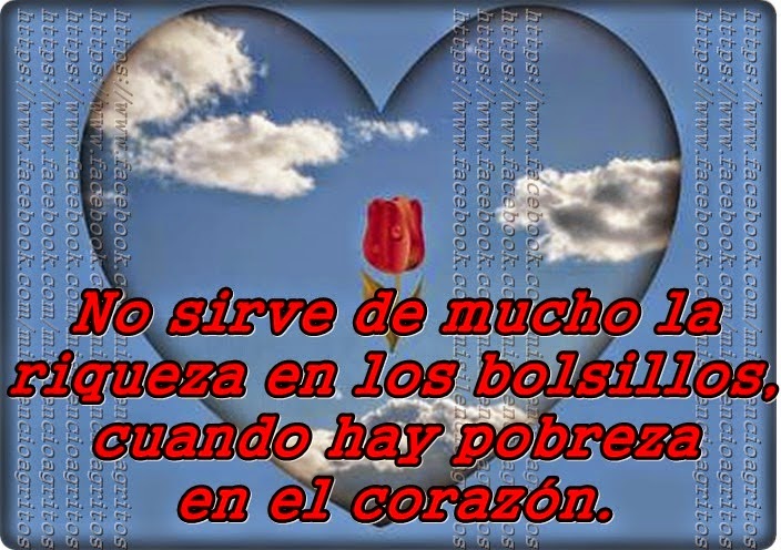 VIVE LA VIDA: El sabio calla para que el mundo lo descubra