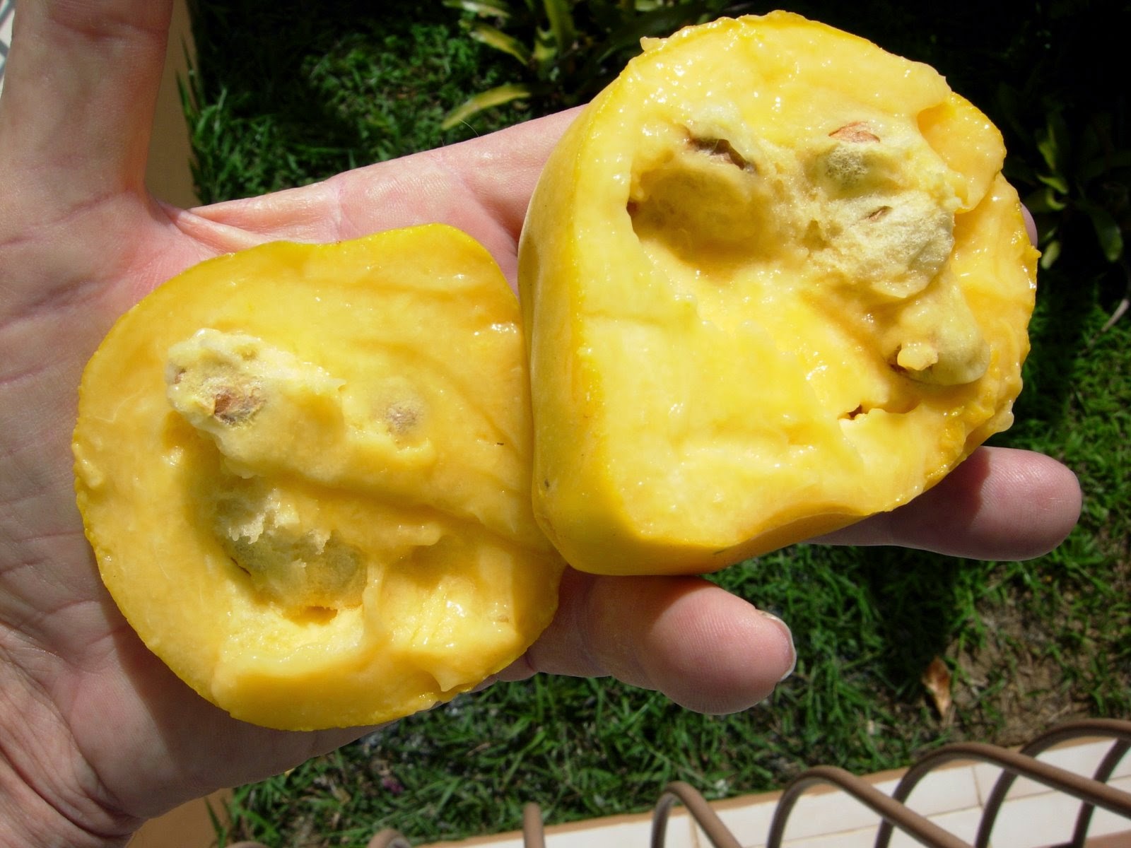 JUGOS CON FRUTAS EXÓTICAS