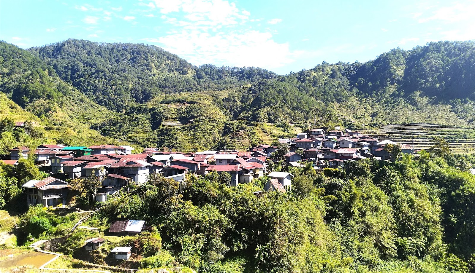 Maligcong Rice Terraces: The Wonderful Gem of Bontoc - The Pinoy Traveler