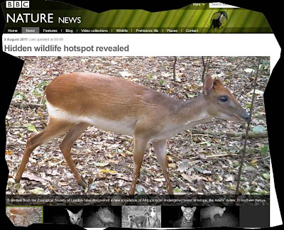 UKpix blog by Peter Greenhalgh: Hidden camera reveals wildlife hotspot ...