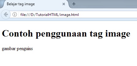 Cara Menambahkan Gambar di HTML (tag img) - Struktur Web