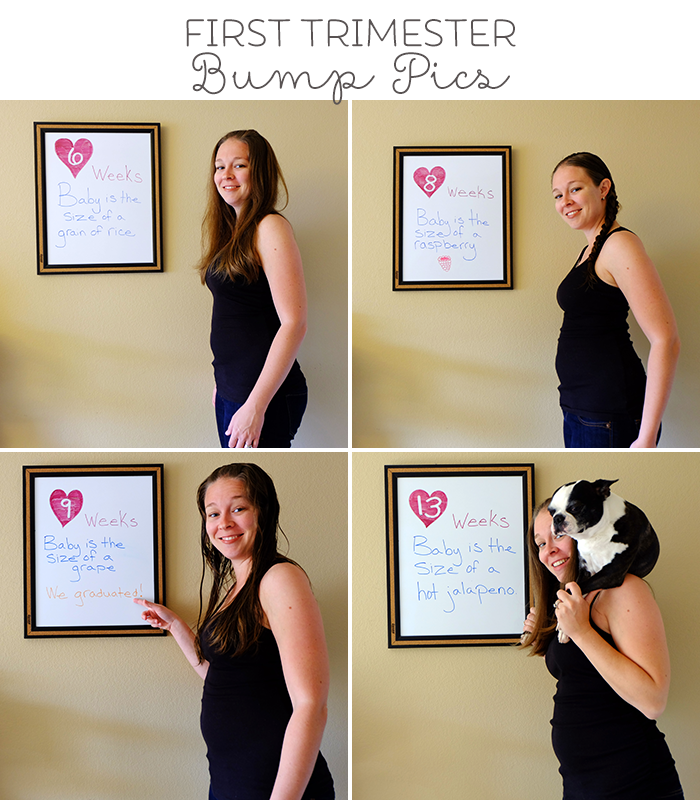 First Trimester Bumps and Must-Haves / Habitual Homebody