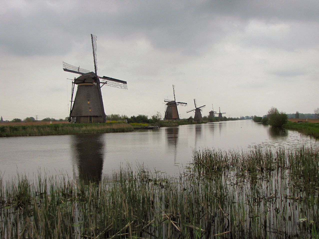 Femme au foyer: The Kinderdijk windmills